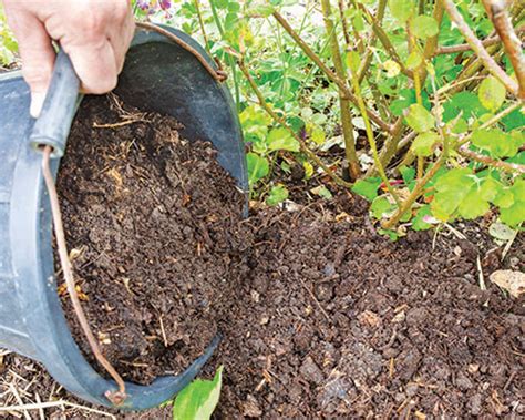 How To Make Compost The Expert Guide Homes And Gardens