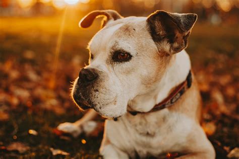 Cassidy Campbell Photography