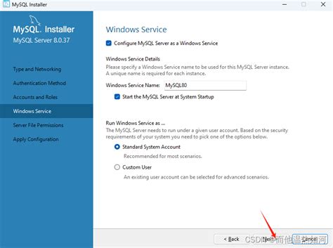 Mysql安装配置保姆教程（win11）mysql80370安装教程 Csdn博客