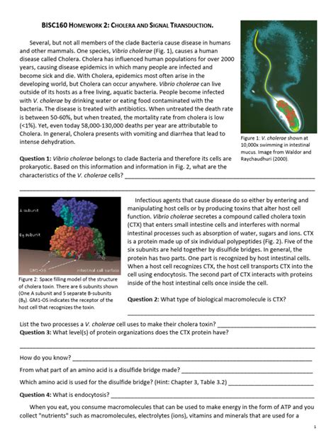 bisc 160 homework 2 finished pdf cholera epidemiology