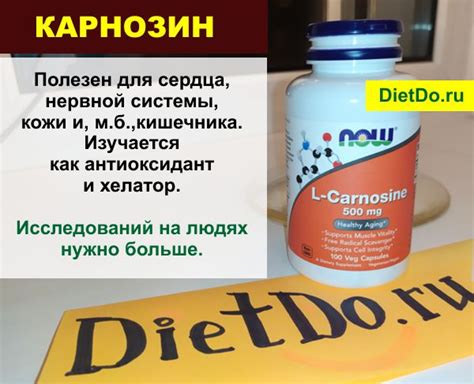 Карнозин инструкция по применению цена отзывы аналоги таблетки цена