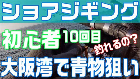【ショアジギング】初心者 大阪湾 夕まずめ 青物狙い ロッドしゃくりに【10回目】 Youtube