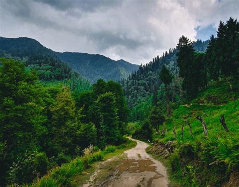 Manali Kasol And Sissu Tour Package From Delhi