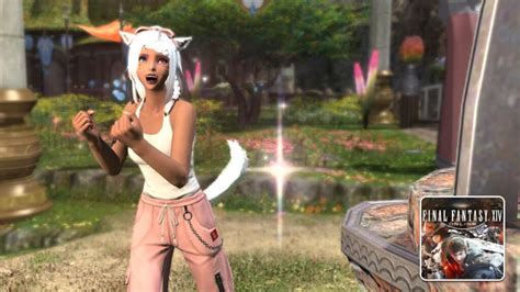 Ffxiv How To Install Mods Gamer Empire
