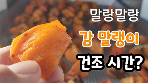 말랑말랑 감말랭이 100 성공하는 건조기 온도 쉽게 가능하다 Youtube