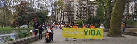 Caminhada Pela Vida Percorre As Ruas De Viseu No Dia 6 De Abril