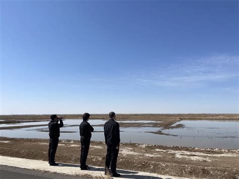 五原县公安局开展春季保护候鸟专项行动湿地苏国成繁殖地