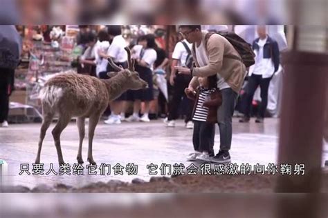 一只野狼被铁丝网困住，男子好心上前解救，狼的举动让人心寒！好心铁丝网男子