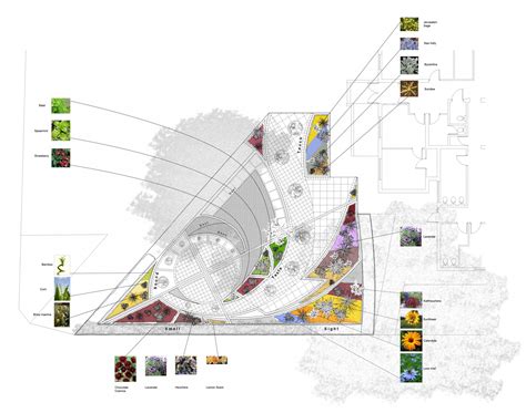Sensory Architecture Garden Designs Can Add A New Lease To A Care Home