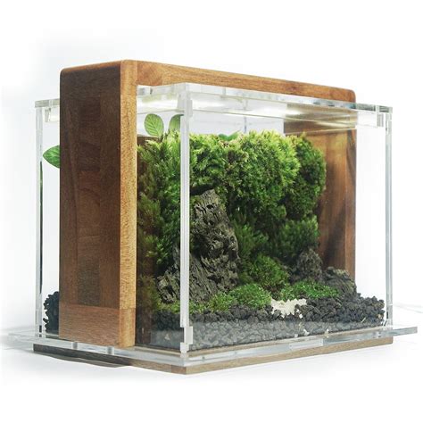 Mini Ecosystem Bioactive Biotopo