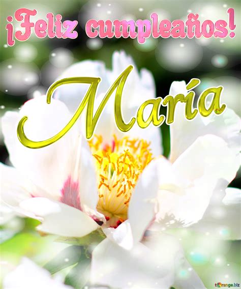 ¡feliz Cumpleaños María Imagen Libre 6291