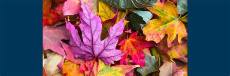 Dont Fall For Common Splunk Mistakes Tekstream Solutions