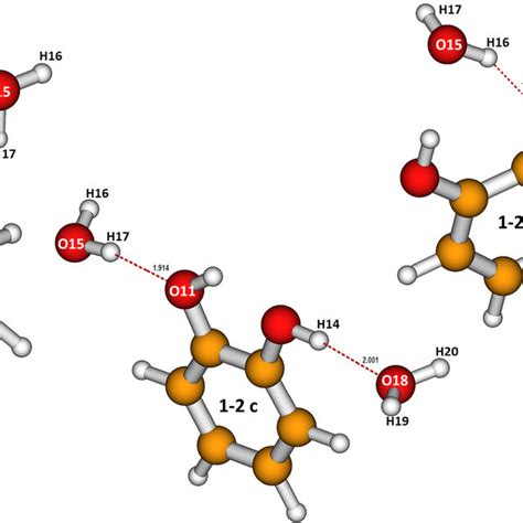 Minimum Energy Structures Of Three Selected Small Catechol H2o N Download Scientific Diagram