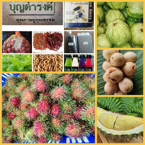 คณะเกษตรศาสตร์ คณะเกษตรศาสตร์ มหาวิทยาลัยราชภัฏอุตรดิตถ์