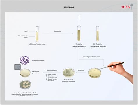 ISO 18416 Testing Candida Albicans Detection In Cosmetics