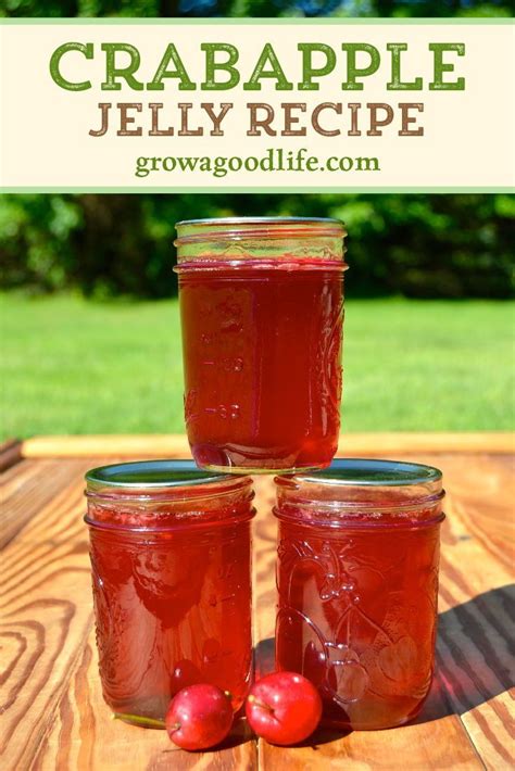 This Simple Crabapple Jelly Recipe Uses Just Crabapples Sugar And
