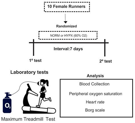 The Acute Effect Of Hyperoxia On Onset Of Blood Lactate Accumulation
