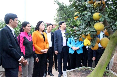 Đẩy mạnh ứng dụng công nghệ cao trong nông nghiệp