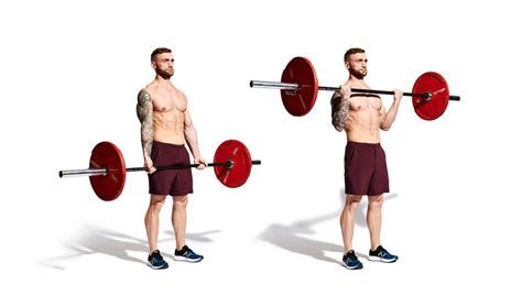 Barbell Curl Muscles Worked