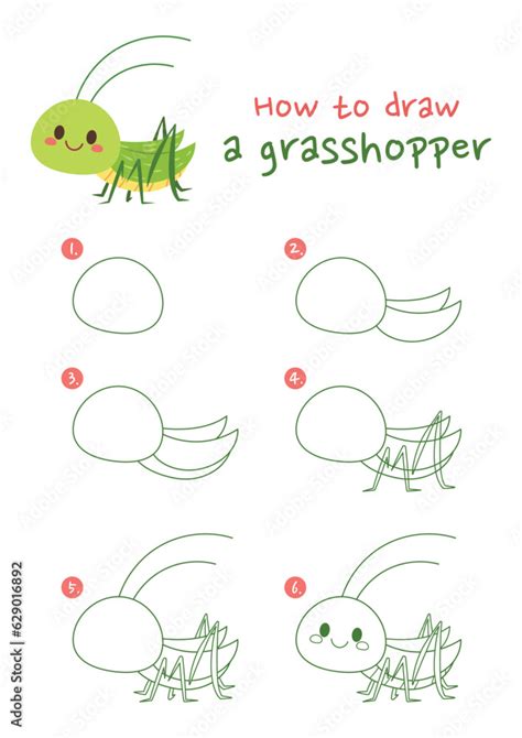 How To Draw A Grasshopper Vector Illustration Draw A Grasshopper Step By Step Cute And Easy