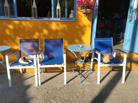 Best 2 Cafe In Ithaca Greece Greeka