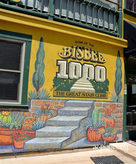 Bisbee Arizona The Great Stair Climb