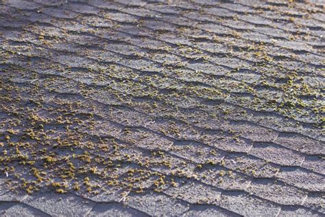 Wooden Surface With Moss Background Texture Stock Image Image Of Pattern Moss 113948643