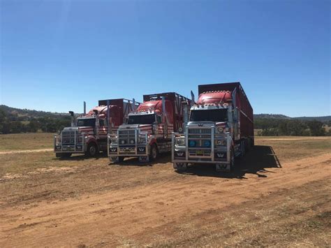 Js Transport Group Stocktrans Home Facebook