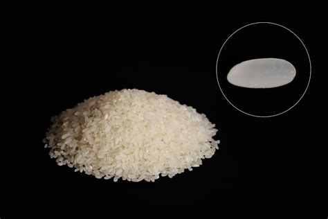 Arroz Guadiamar Gastronomía Y Turismo En Valencia Gastronómica