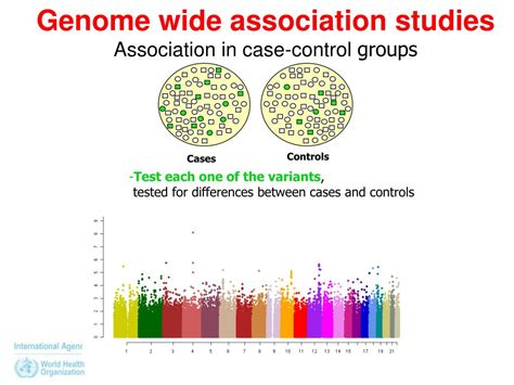 PPT GWAS Vs NGS PowerPoint Presentation Free Download ID 4362864