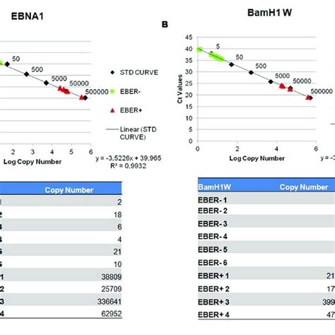 Detection Of Ebv Genome By Reverse Transcription Assay Serial