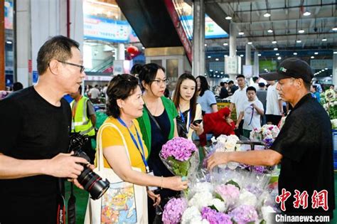 2024年海外华文媒体云南行：遇见多元和谐之美 新华网客户端