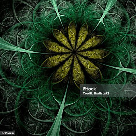 어두운 노란색 및 초록색 차원 분열도형 아이리스입니다 0명에 대한 스톡 사진 및 기타 이미지 0명 과학 꽃 꽃의 구조 Istock