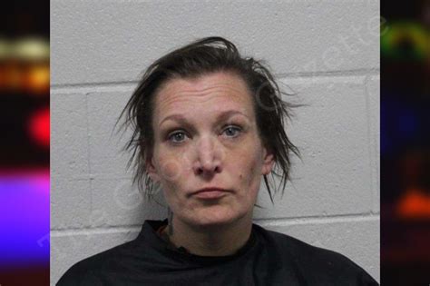 Joey Miller — Habersham County Jail Bookings