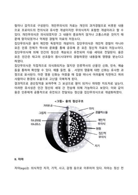 분석심리학 융의 분석심리이론융의 정신구조 자아 콤플렉스 원형 페르소나 그림자 아니마와 아니무스 자기 정신에너지의 원리 융의