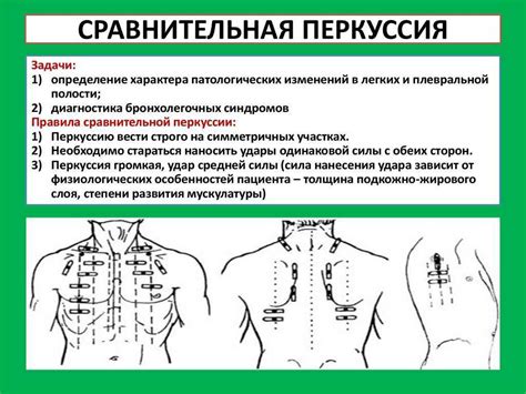 Перкуссия легких: сравнительная и топографическая, норма и границы