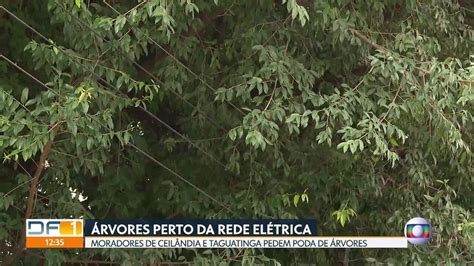 Moradores Reclamam Da Falta De Poda De árvores Df1 G1