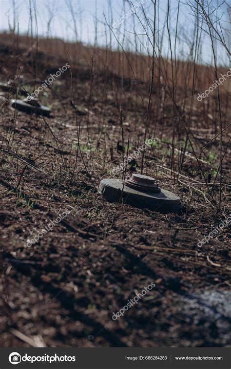 Mykolaiv Region Ukraine October 2023 Tank Mines High Vegetation
