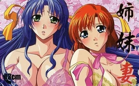 駿河屋 【アダルト】 美沙子 美樹「姉妹妻」（テレホンカード）