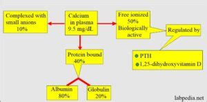 Calcium Part 2 Ionized Calcium Ca Free Calcium Labpedia Net