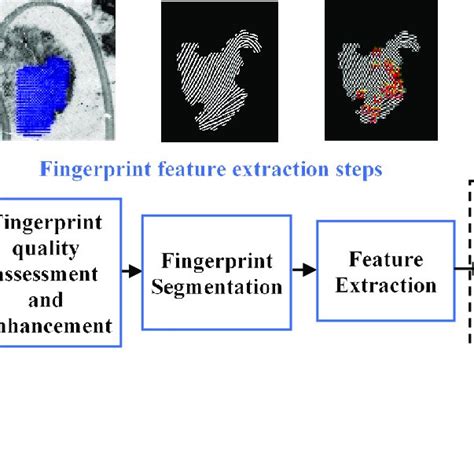 automated latent fingerprint recognition system download scientific