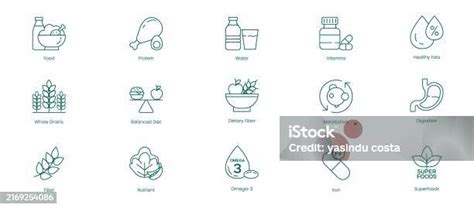 단백질 물 통곡물 균형 잡힌 식단 영양소 비타민 건강한 지방 식품 식이섬유 신진대사 소화 오메가3 슈퍼푸드 건강한 생활방식에 대한 스톡 벡터 아트 및 기타 이미지 Istock