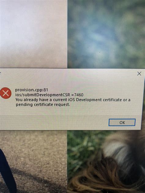 [help] has anyone had this issue too r jailbreak