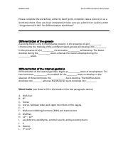 Sexual Differentiation Worksheet Pdf WSBIOL Sexual Differentiation Worksheet Please