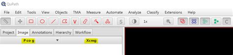 Qupath Unreadable Text After Installation Issue Qupath Qupath Github
