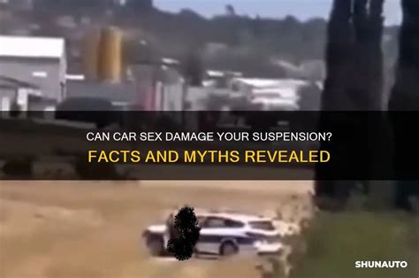 Can Car Sex Damage Your Suspension Facts And Myths Revealed Shunauto