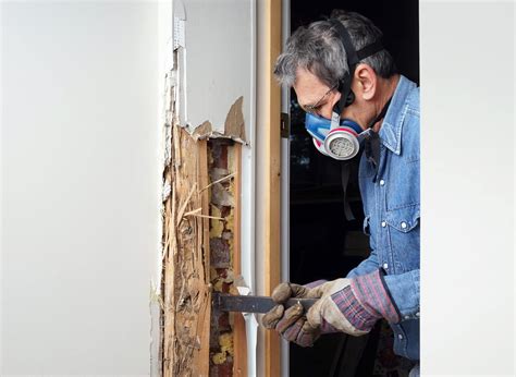 The Complete Guide To Termite Inspections 2025 Todays Homeowner