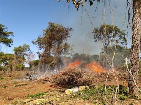 Paranaense Leva Multa De R 11 Mil Por Incêndio Em Pastagem No