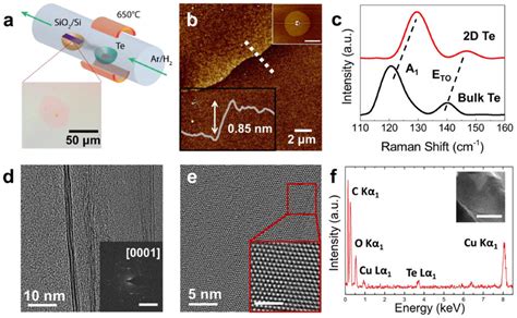 A Schematic Of Vapor Deposition Of Tellurene On Sio2 Si Substrates