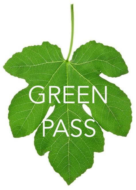 Riapertura Delle Scuole La Coperta Del Green Pass Gilda Venezia